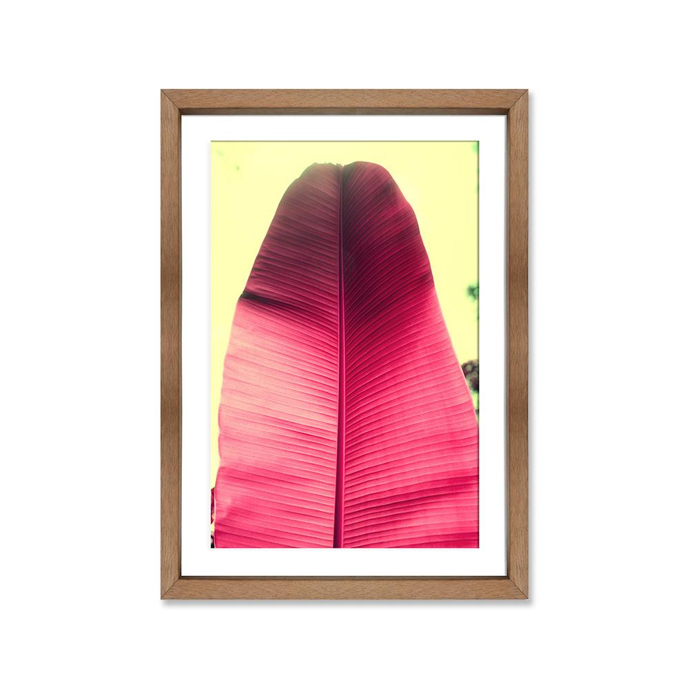 Rebori Roberta - Caza Cuadros